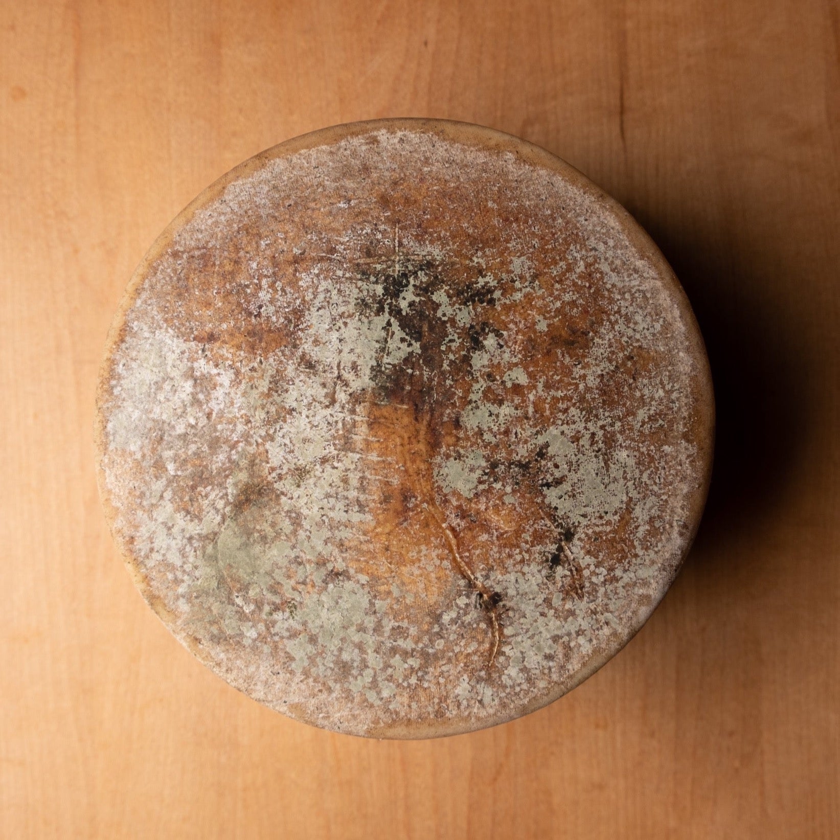 Garrotxa | Cave Aged Goat Cheese | Barcelona | Gourmet Toronto Delivery ...